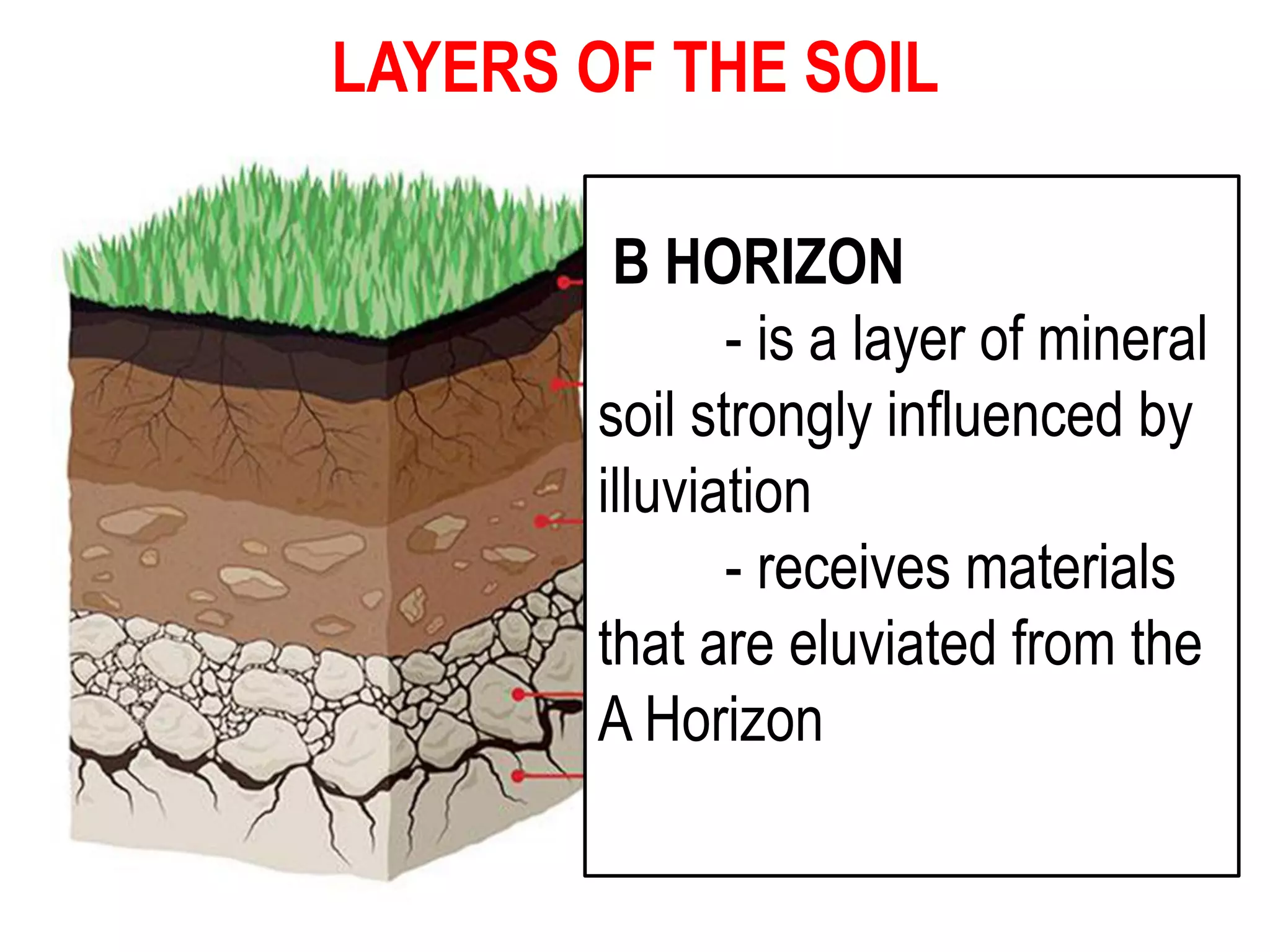 Soil resources | PDF