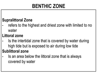 Soil resources | PDF