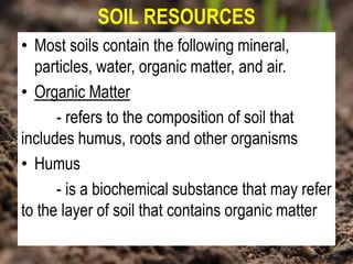 Soil resources | PDF