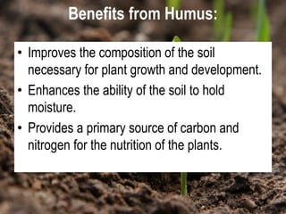 Soil resources | PDF