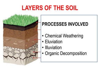 Soil resources | PDF