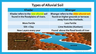Soil Resources( Types of Soil )10 ICSE.pdf