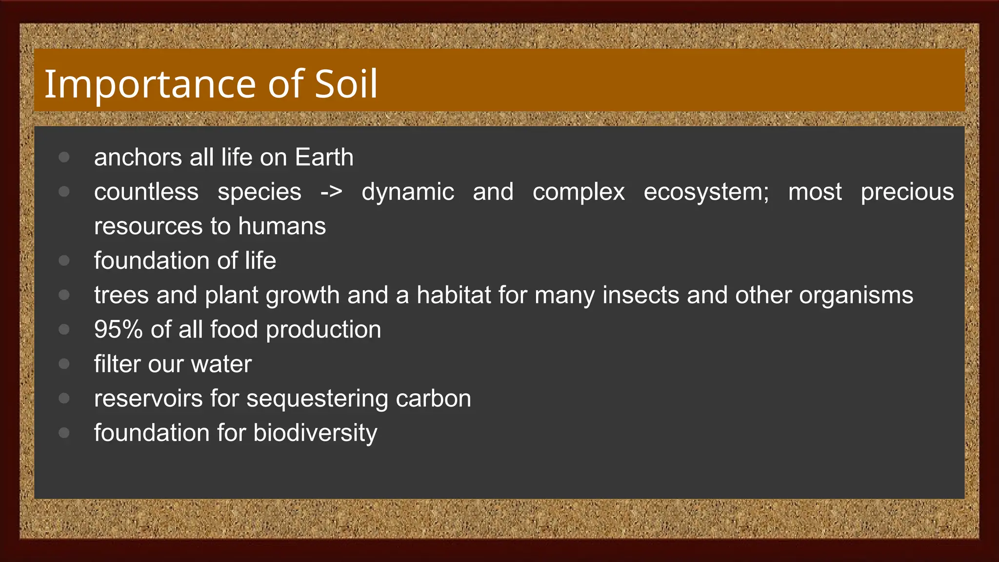 Soil Resources and Humans Grade 11 Earth Science.pptx