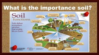 Soil Resources and Humans Grade 11 Earth Science.pptx
