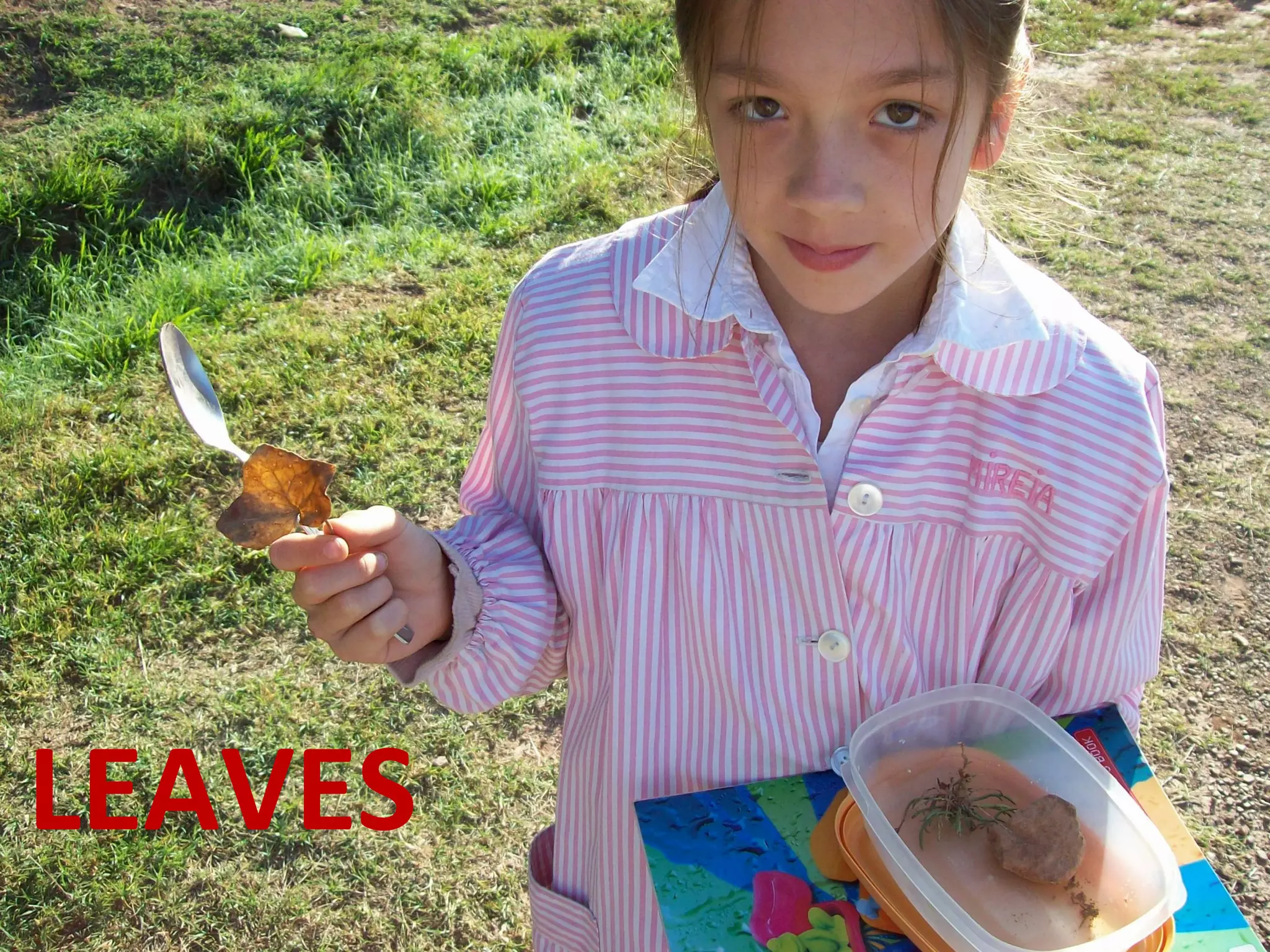 Unit 7: My Planet: Soil, rocks and minerals | PPT | Geology | Science