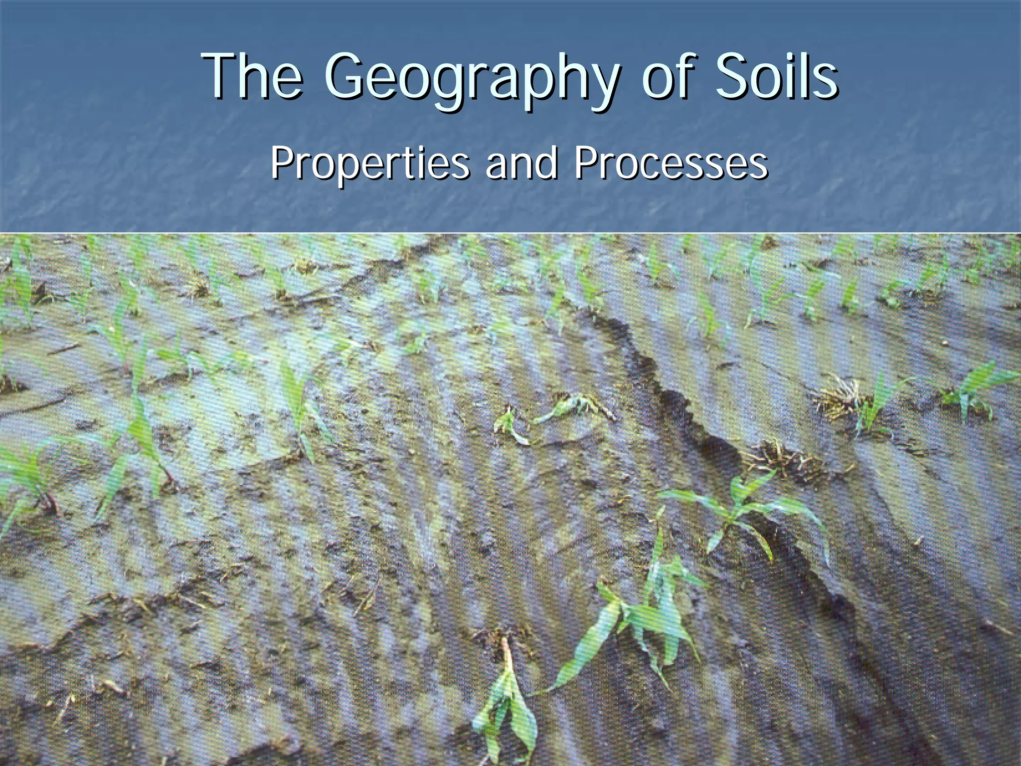 Soils | PDF