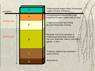 Soils | PPT