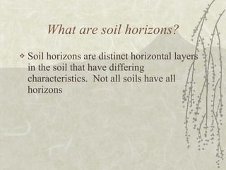 Soils | PPT