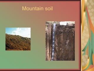 Soils | PPSX