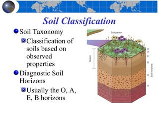 Soils | PPT