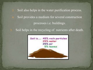 Soils | PPTX