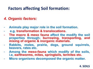 Soils | PPTX