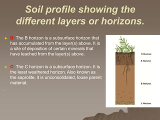 SOILs.ppt