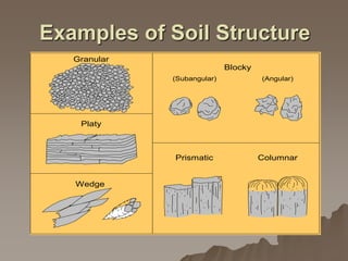 SOILs.ppt