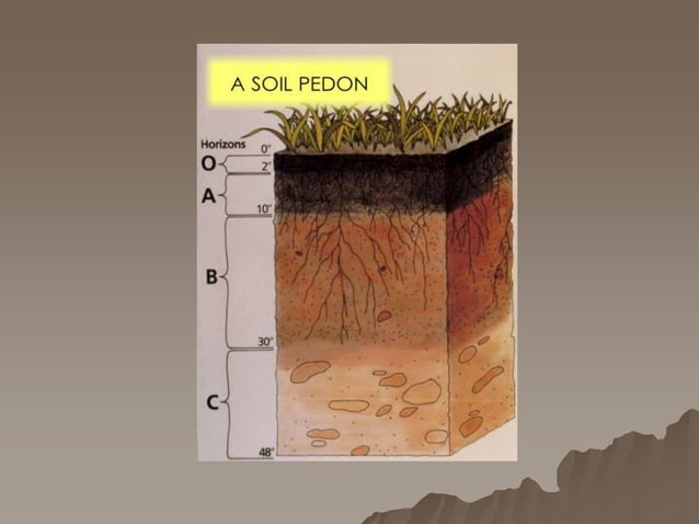 SOILs.ppt