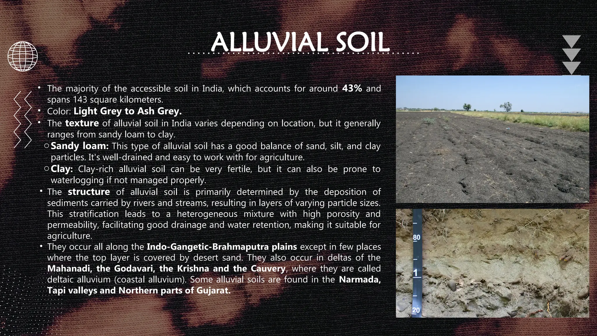 The Foundations of Soil: Exploring Texture, Structure, and Classification in India.pptx
