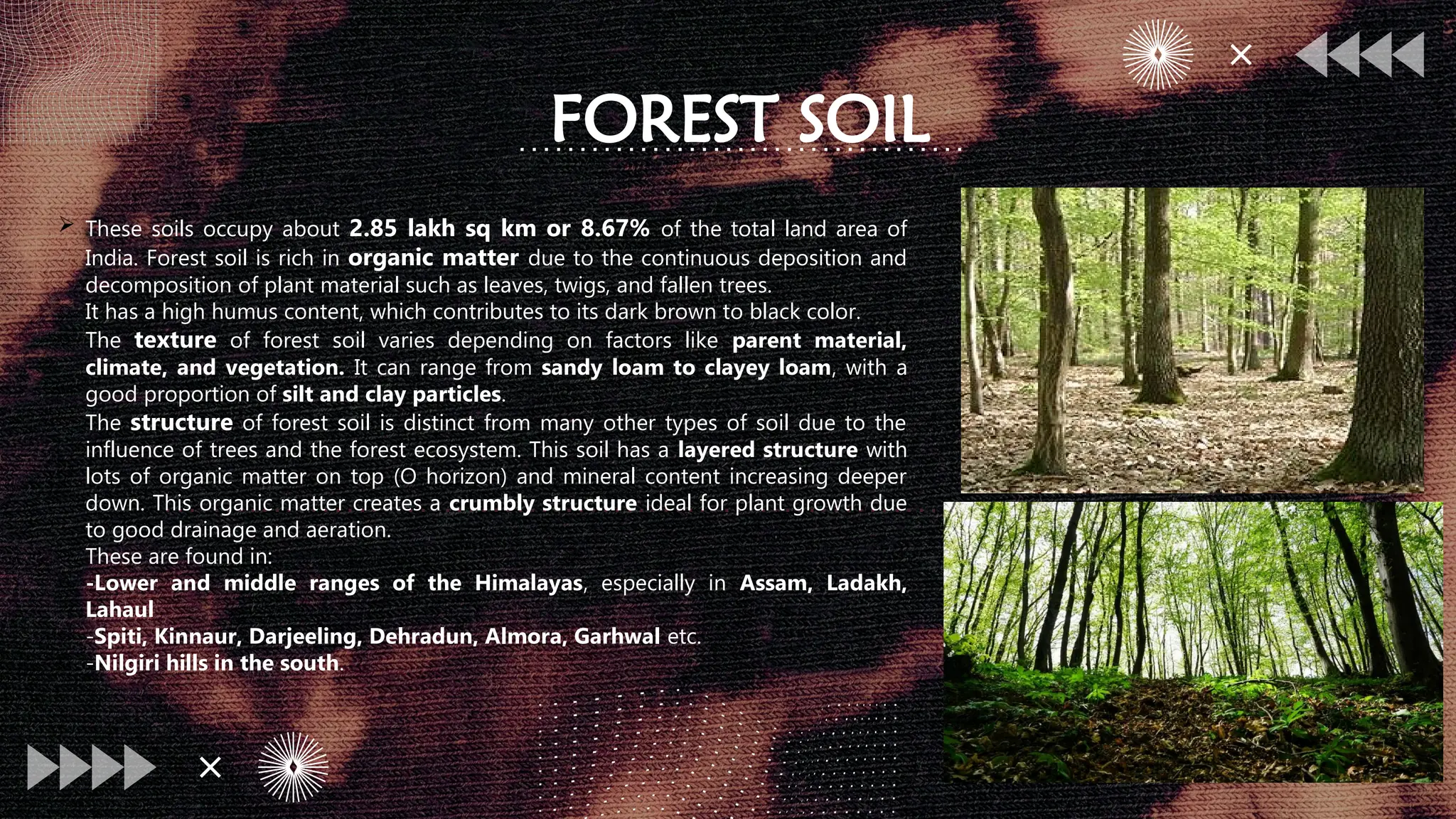 The Foundations of Soil: Exploring Texture, Structure, and ...