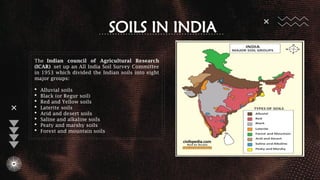 The Foundations of Soil: Exploring Texture, Structure, and ...