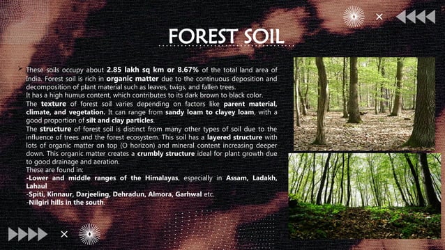 The Foundations of Soil: Exploring Texture, Structure, and Classification in India.pptx