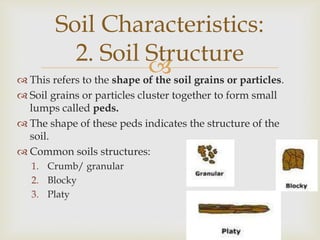 Soils | PPTX
