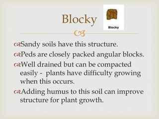 Soils | PPTX | Gardening | Home & Garden
