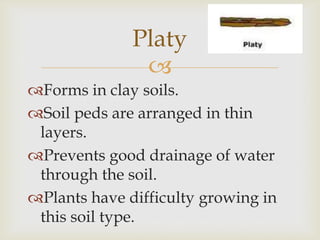 Soils | PPTX