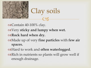 Soils | PPTX
