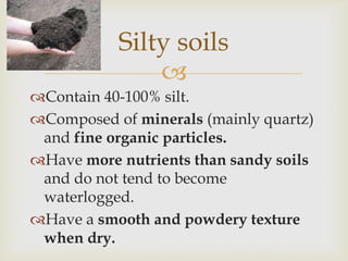 Soils | PPTX