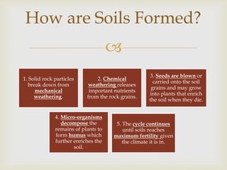 Soils | PPTX