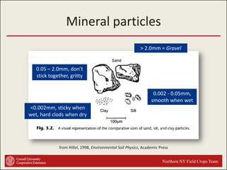 Soils 101 intro | PPT