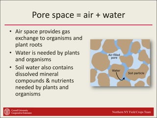Soils 101 intro | PPT