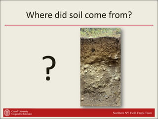 Soils 101 intro | PPT