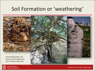Soils 101 intro | PPT