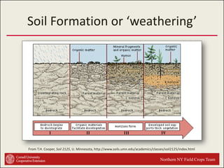Soils 101 intro | PPT