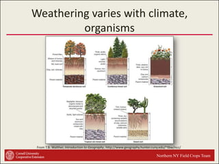 Soils 101 intro | PPT
