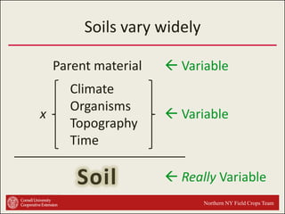 Soils 101 intro | PPT