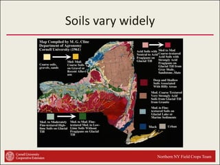 Soils 101 intro | PPT