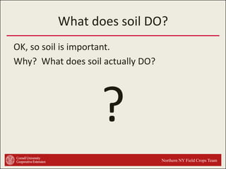 Soils 101 intro | PPT