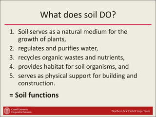 Soils 101 intro | PPT