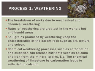 Soils Part 2 | PPTX