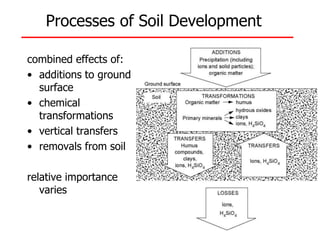Soils_2012.ppt