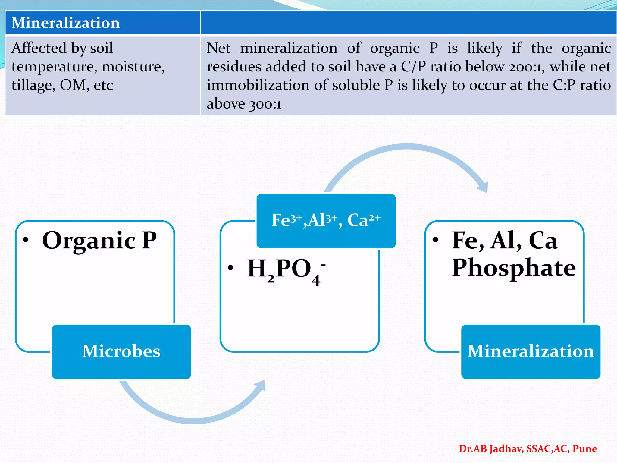 Soils 502 lecture no 18 22 phosphorus | PPTX