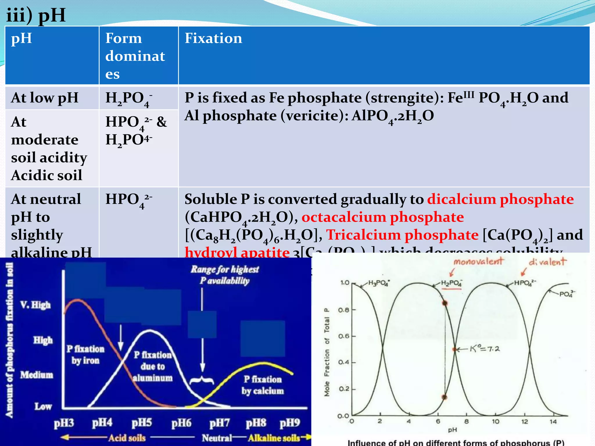 Soils 502 lecture no 18 22 phosphorus | PPTX