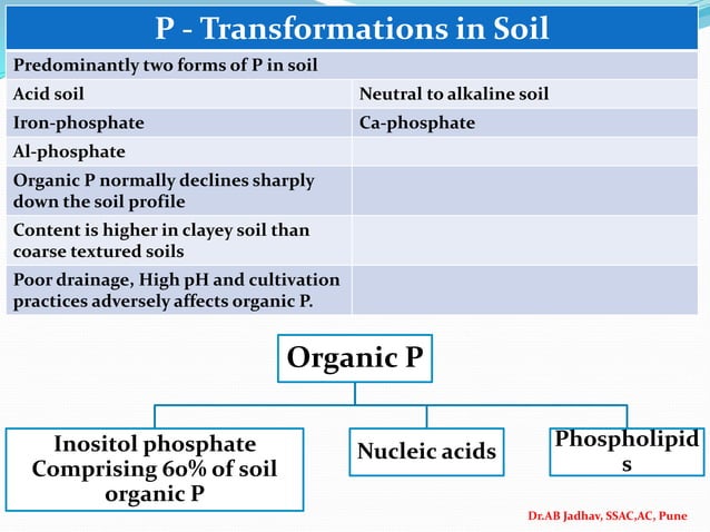 Soils 502 lecture no 18 22 phosphorus | PPTX