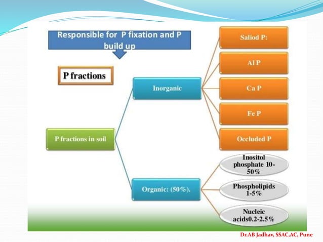 Soils 502 lecture no 18 22 phosphorus | PPTX