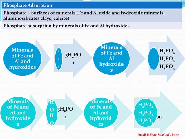 Soils 502 lecture no 18 22 phosphorus | PPTX