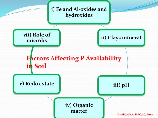 Soils 502 lecture no 18 22 phosphorus | PPTX
