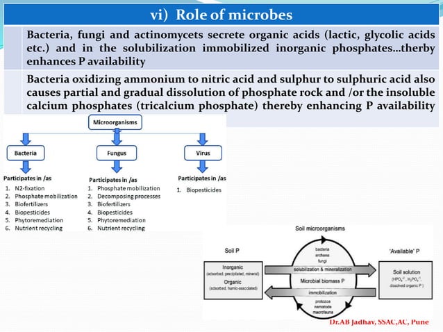 Soils 502 lecture no 18 22 phosphorus | PPTX