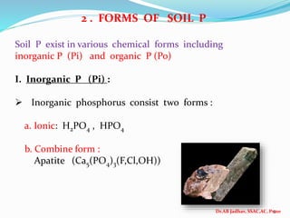 Soils 502 lecture no 18 22 phosphorus | PPTX