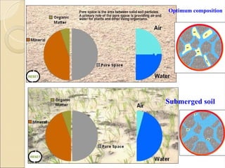 Submerged Soils and it characters and factors effect it | PPT